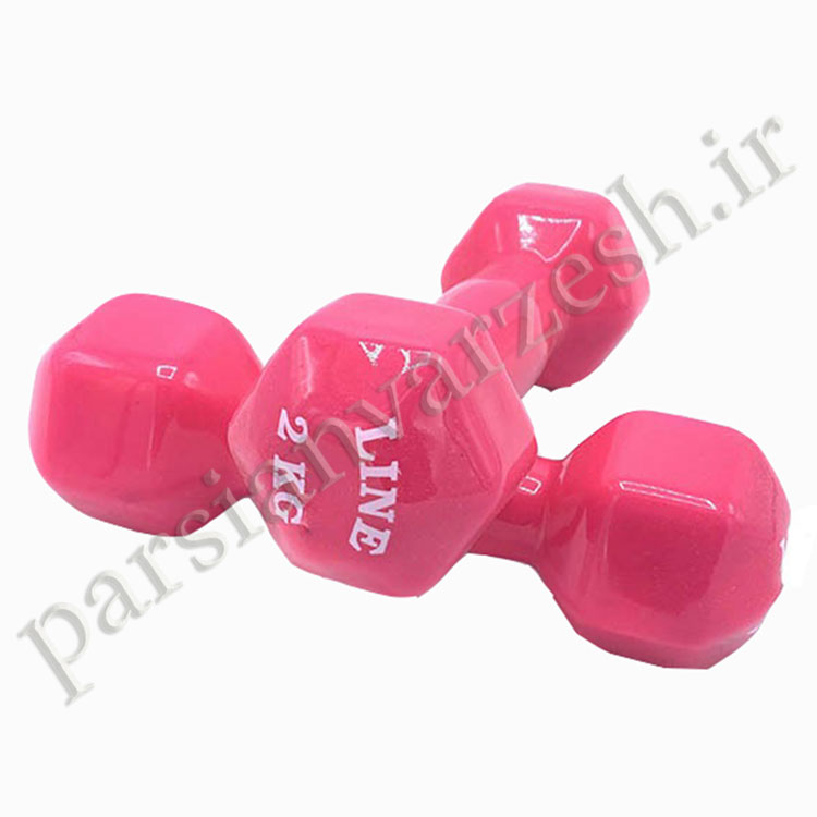 دمبل بانوان 2 کیلوگرم | قیمت دمبل بانوان 2 کیلوگرم در اصفهان | فروش ...